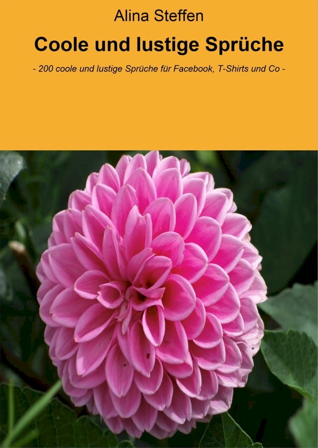 Coole und lustige Sprüche - PChome 24h書店