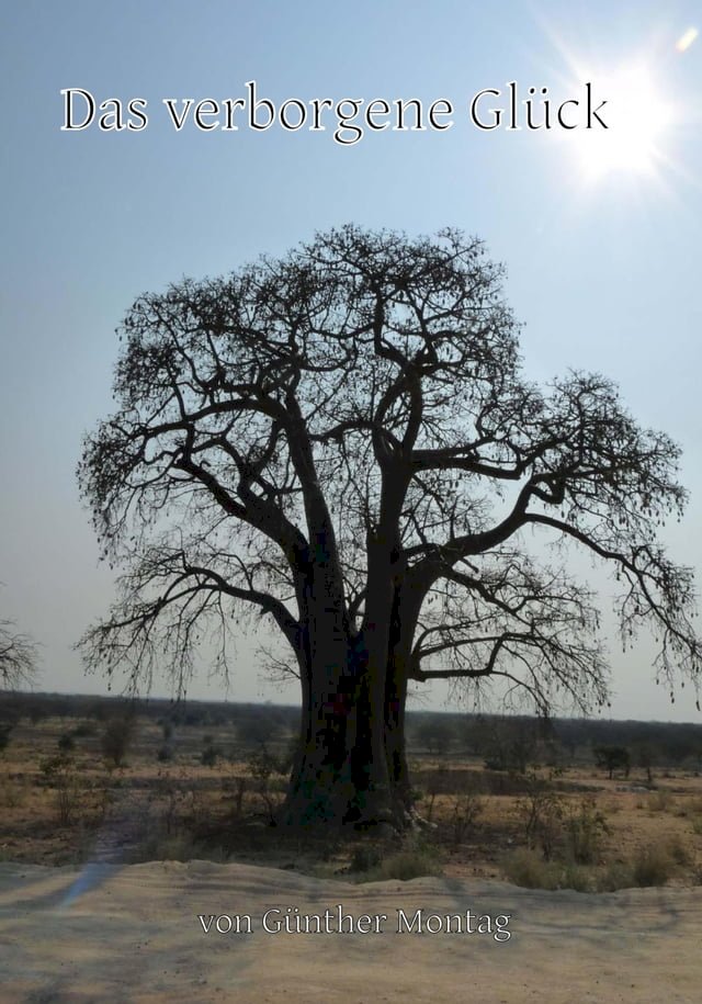 Das verborgene Glück - PChome 24h書店