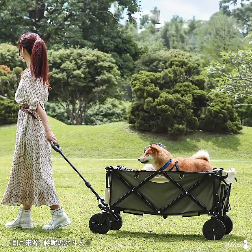 【LIGFE 立格扉】戶外可摺疊露營推車-米綠配色 - PChome 24h購物