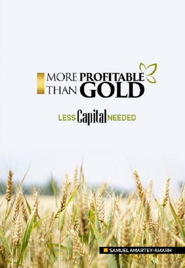 More Profitable than Gold - PChome 24h書店