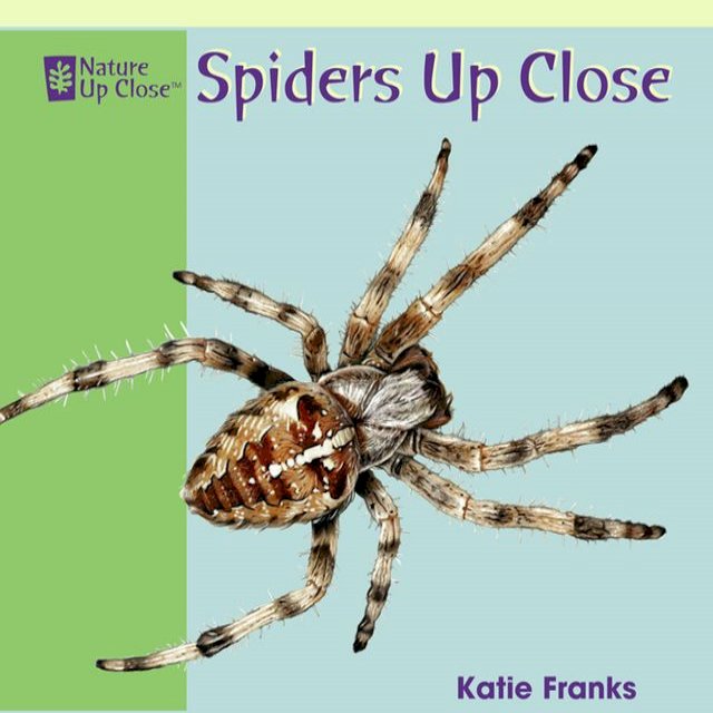 Spiders Up Close - PChome 24h書店