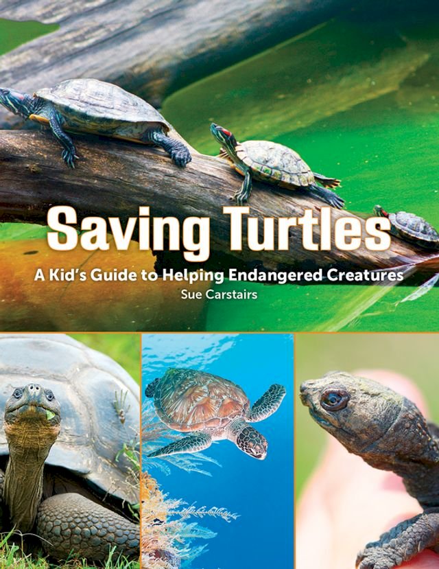 Saving Turtles - PChome 24h書店