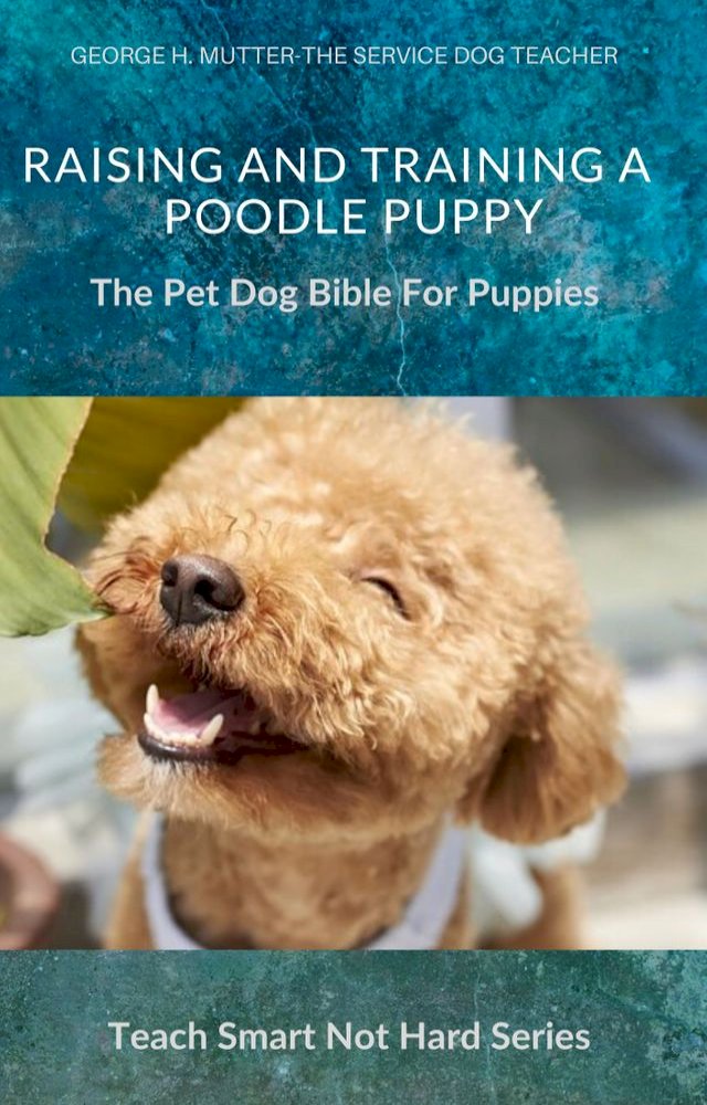 Raising And Training A Poodle Puppy - PChome 24h書店