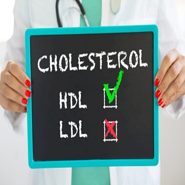 LDL and HDL Cholesterol - PChome 24h書店