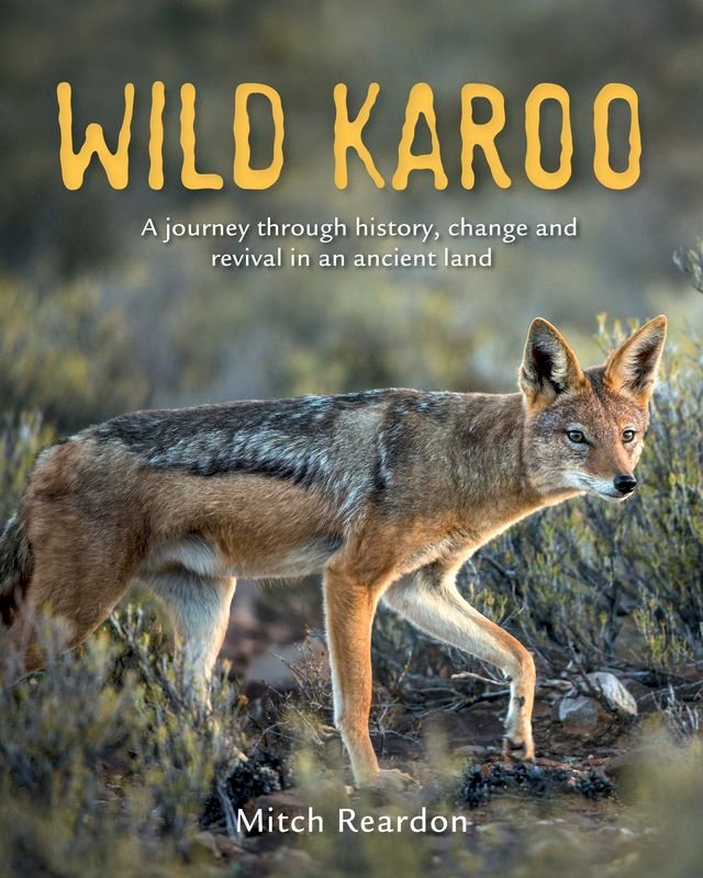 Wild Karoo - PChome 24h書店