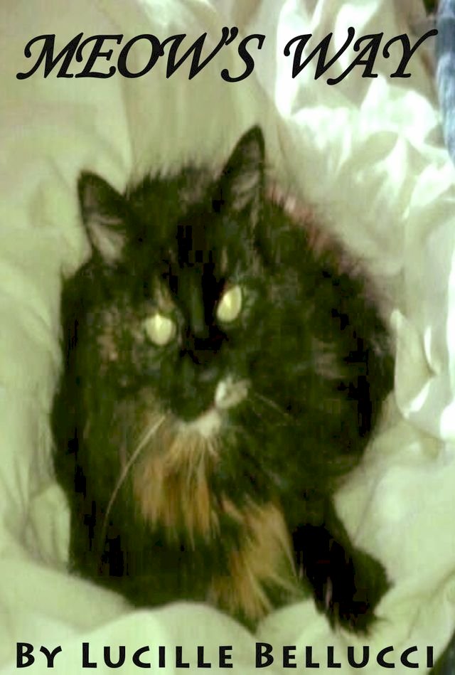 Meow's Way - PChome 24h書店