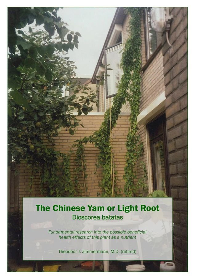 The Chinese Yam or Light Root Dioscorea batatas - PChome 24h書店