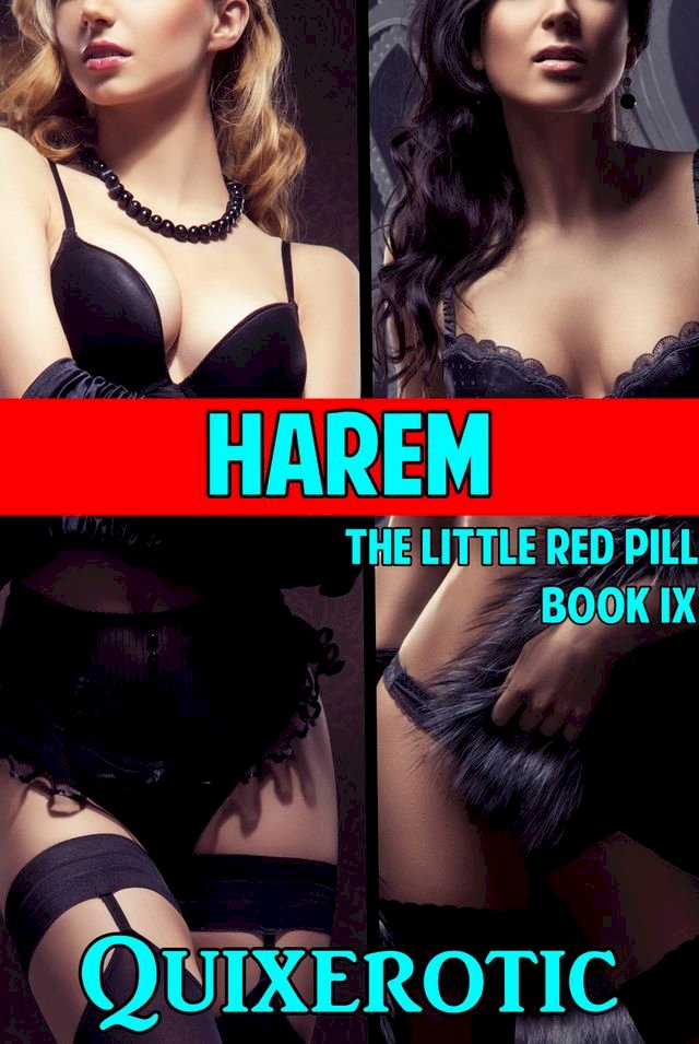 Harem: The Little Red Pill IX - PChome 24h書店