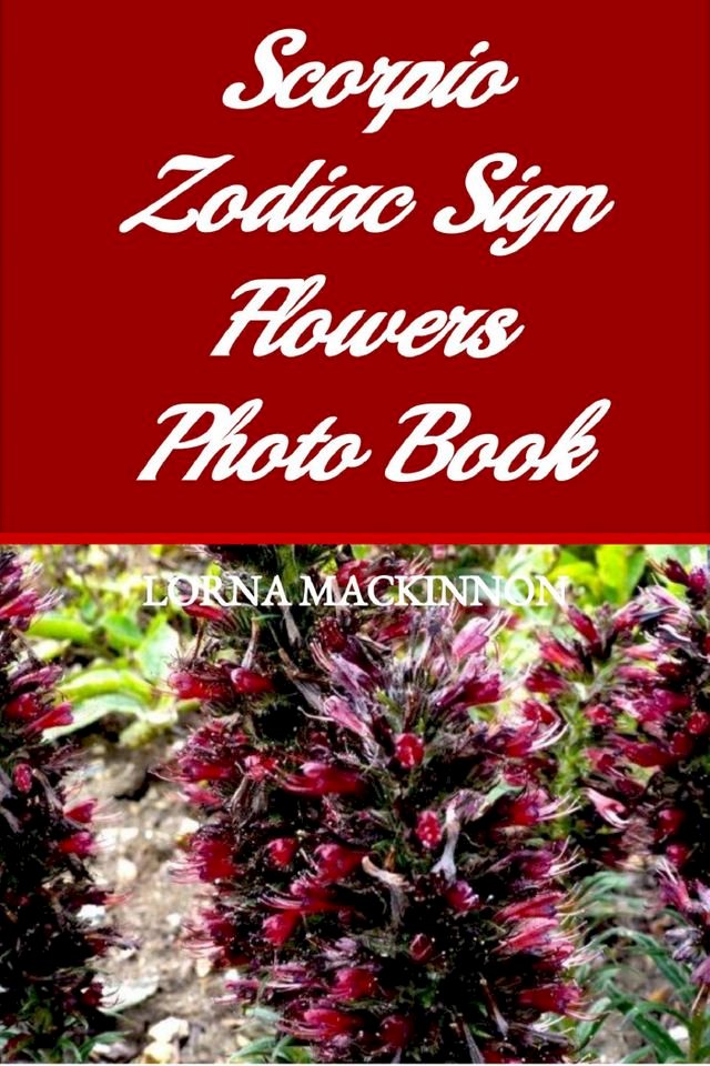 Scorpio Zodiac Sign Flowers Photo Book - PChome 24h書店