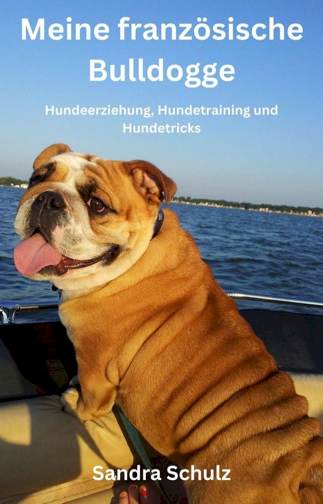 Meine französische Bulldogge, Hundeerziehung, Hundetraining und ...