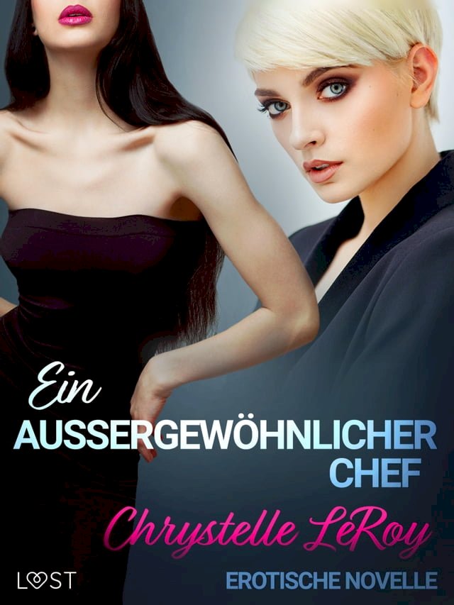 Ein außergewöhnlicher Chef - Erotische Novelle - PChome 24h書店