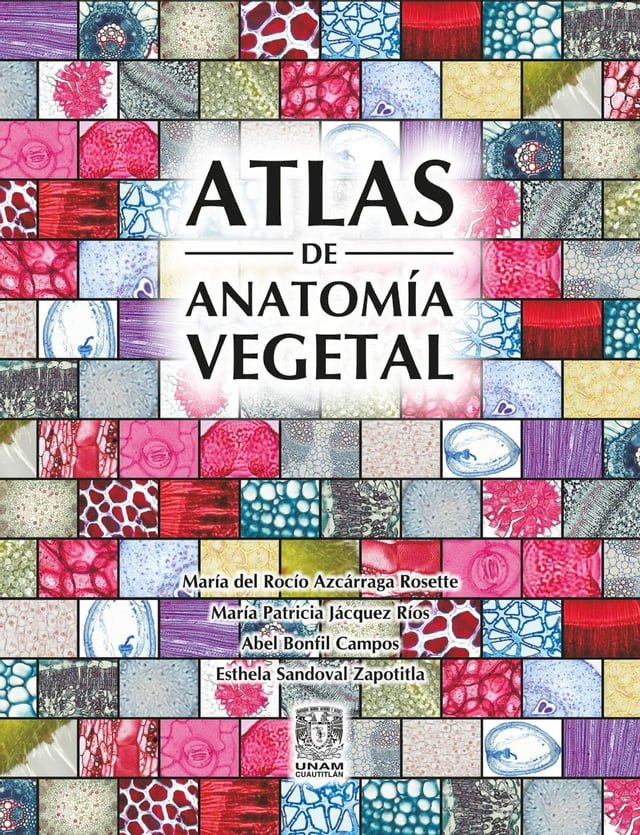 Atlas de anatomía vegetal - PChome 24h書店