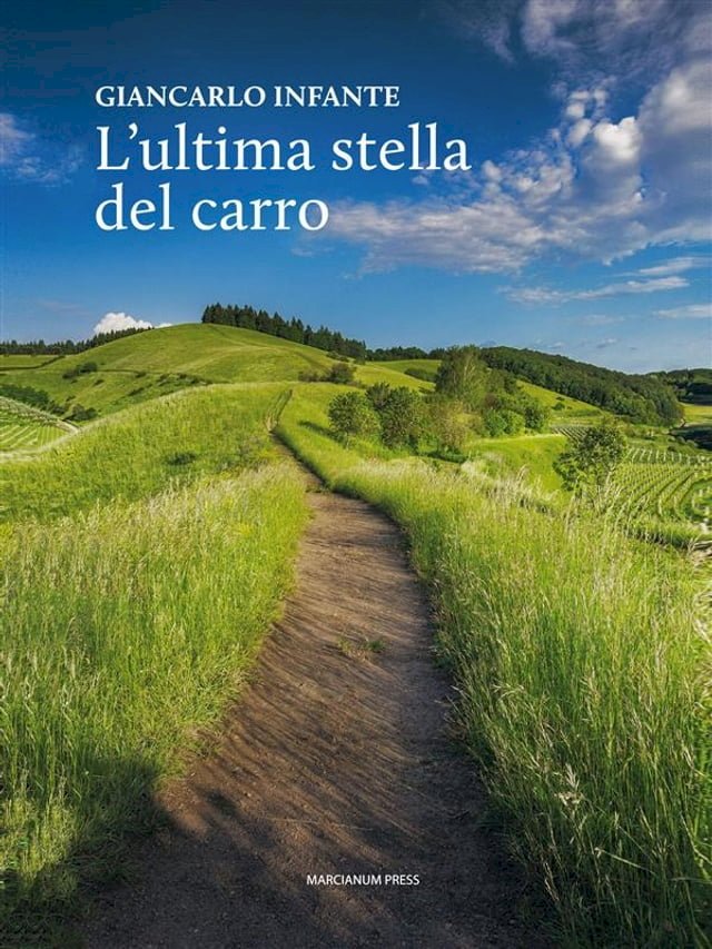 L'ultima stella del carro - PChome 24h書店