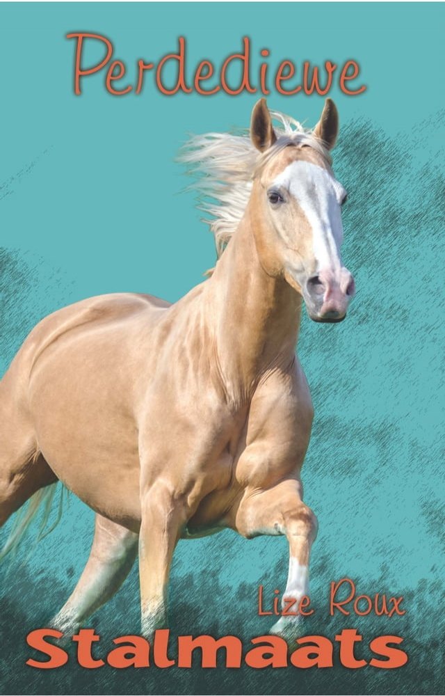 Stalmaats 20 - PChome 24h書店