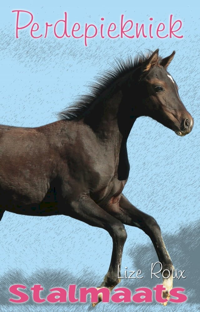 Stalmaats 18 - PChome 24h書店