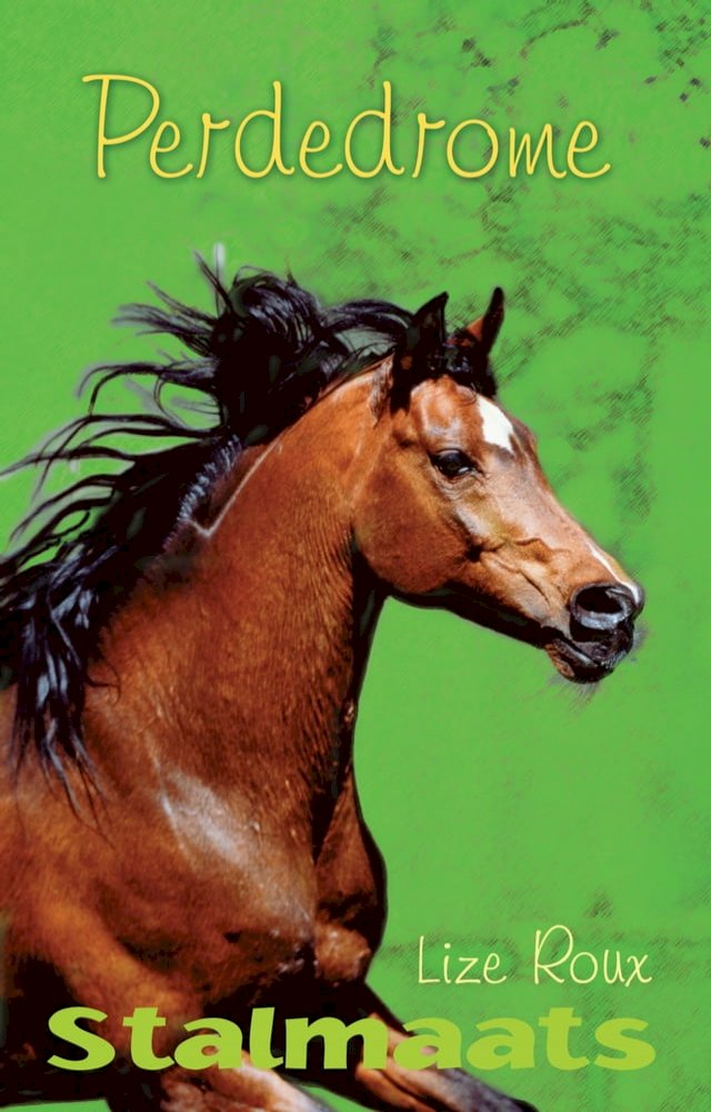 Stalmaats 1 - PChome 24h書店