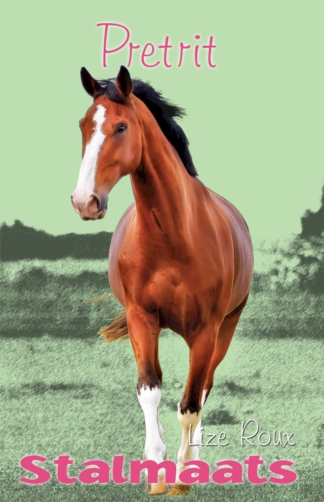 Stalmaats 19 - PChome 24h書店