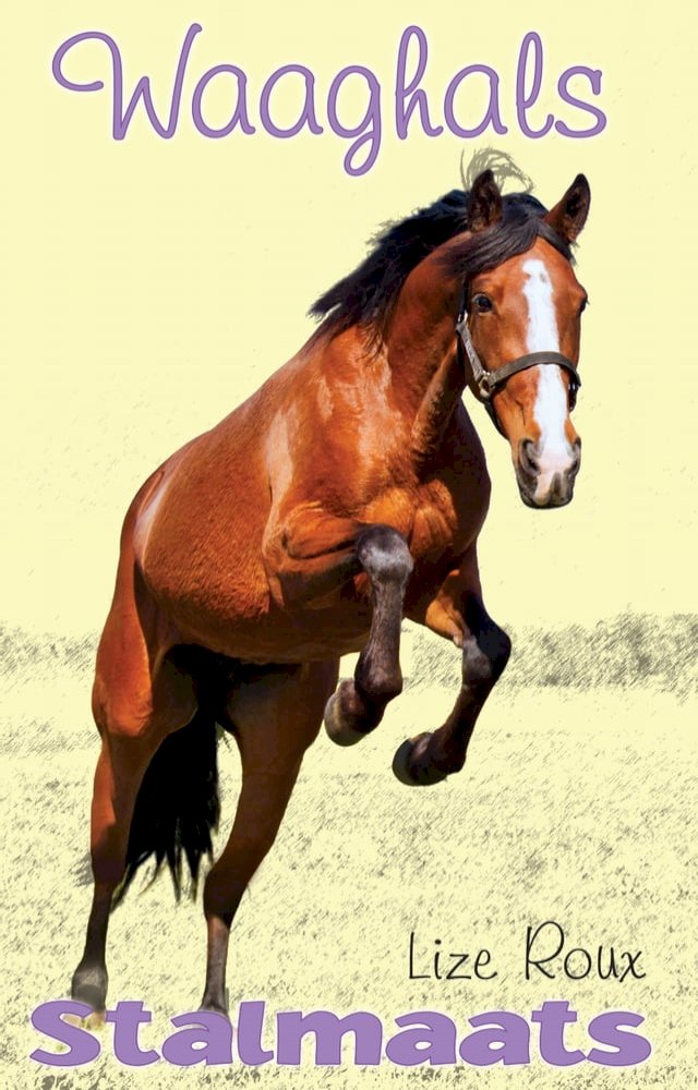 Stalmaats 17 - PChome 24h書店