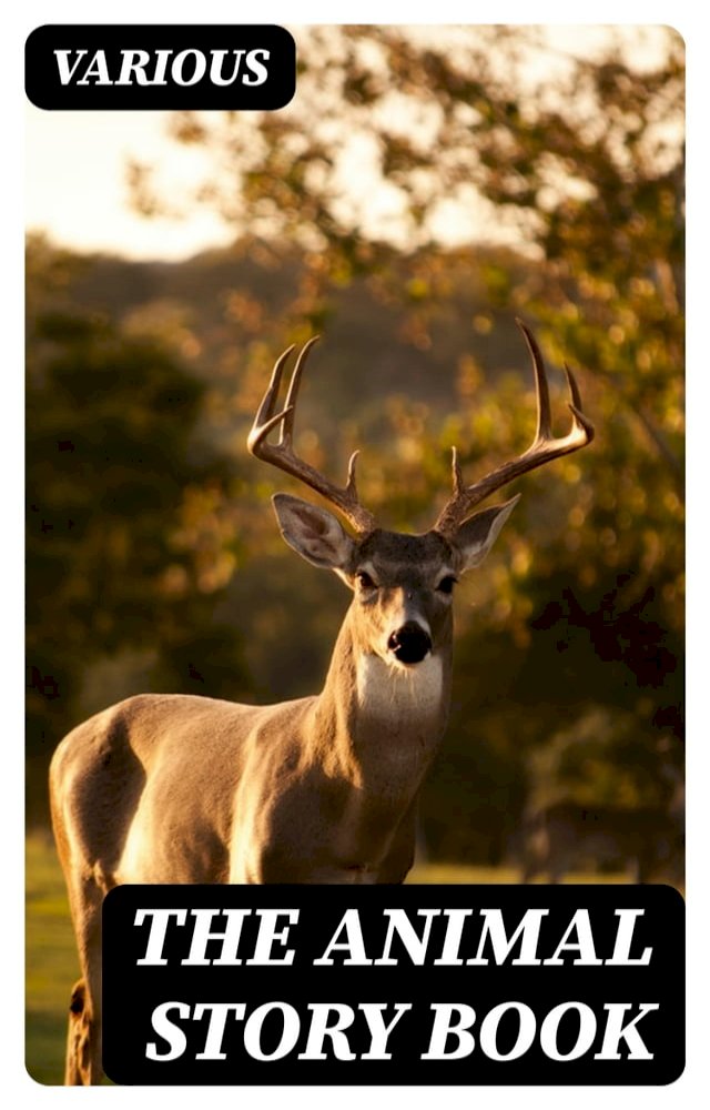 The Animal Story Book - PChome 24h書店